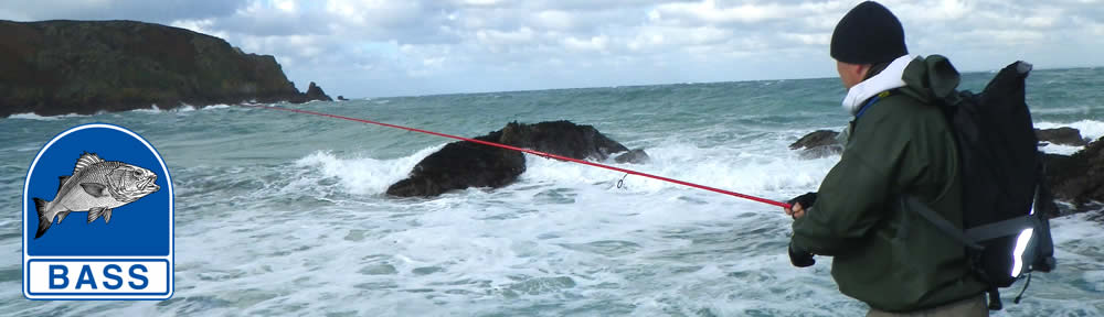 Bass Management Plan – Bass Anglers’ Sportfishing Society