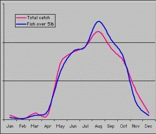 When To Fish – Tidal Cycle – Bass Anglers’ Sportfishing Society