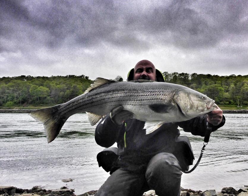 BASS Migration – Bass Anglers’ Sportfishing Society