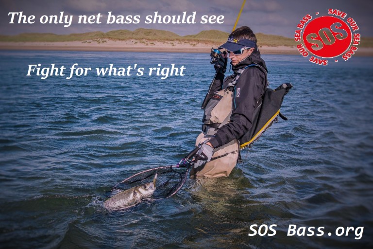 Speaking out for our Bass – Bass Anglers’ Sportfishing Society