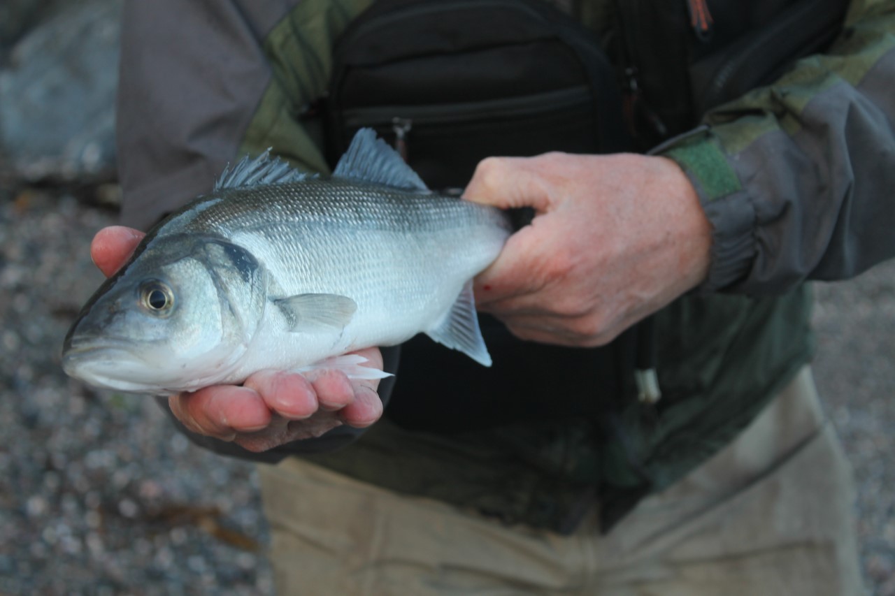 Keep up the pressure and good work. – Bass Anglers’ Sportfishing Society