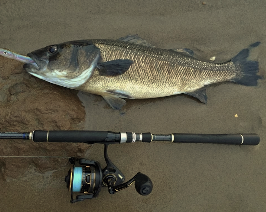 A bonus for Bass – Bass Anglers’ Sportfishing Society