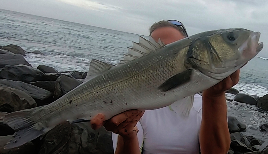 A Weeks Bassing In Portugal – Part 2 – Bass Anglers’ Sportfishing Society