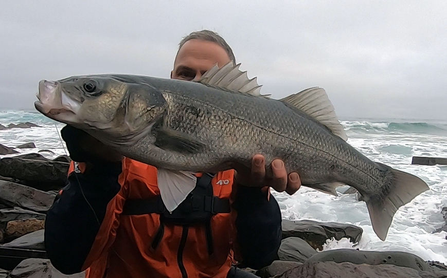 A Weeks Bassing In Portugal – Part 3 – Bass Anglers’ Sportfishing Society