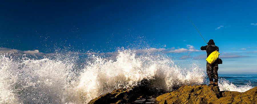 Chapter 4 – Techniques – Fly Fishing – Bass Anglers’ Sportfishing Society