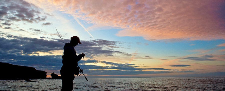 Chapter 1 – Know Your Quarry – Bass Anglers’ Sportfishing Society