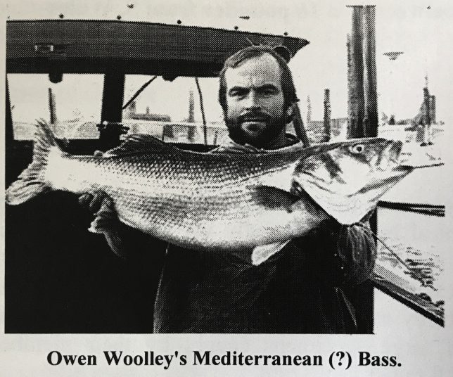 Records – Bass Anglers’ Sportfishing Society