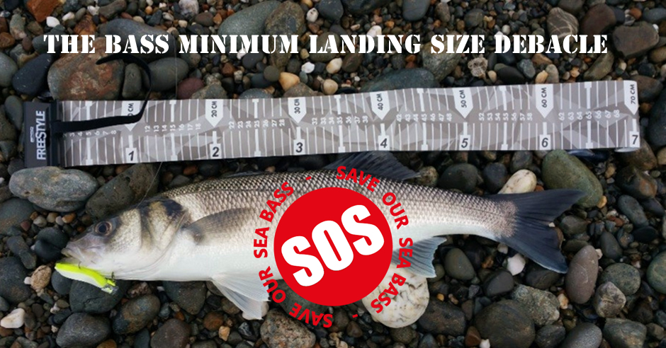 The Bass Minimum Landing Size Debacle – Bass Anglers’ Sportfishing Society