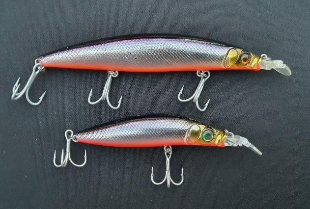 Knowing Your Zonks – Bass Anglers’ Sportfishing Society