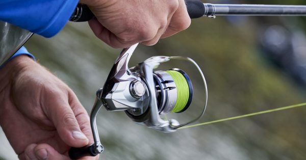 A Rough Guide To Shimano Reels – Bass Anglers’ Sportfishing Society