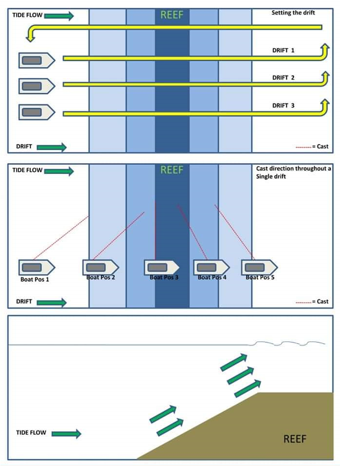Shallow Reef Boat Bass Fishing – Bass Anglers’ Sportfishing Society