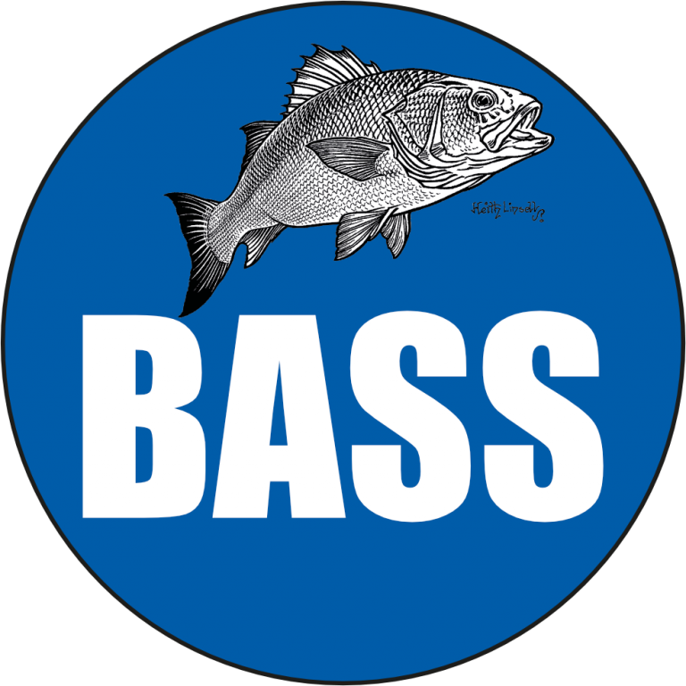 The Life Cycle Of Bass – Bass Anglers’ Sportfishing Society